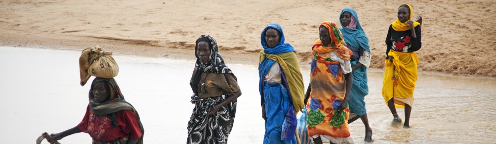 wpsn header – Women, Peace and Security Network – Canada