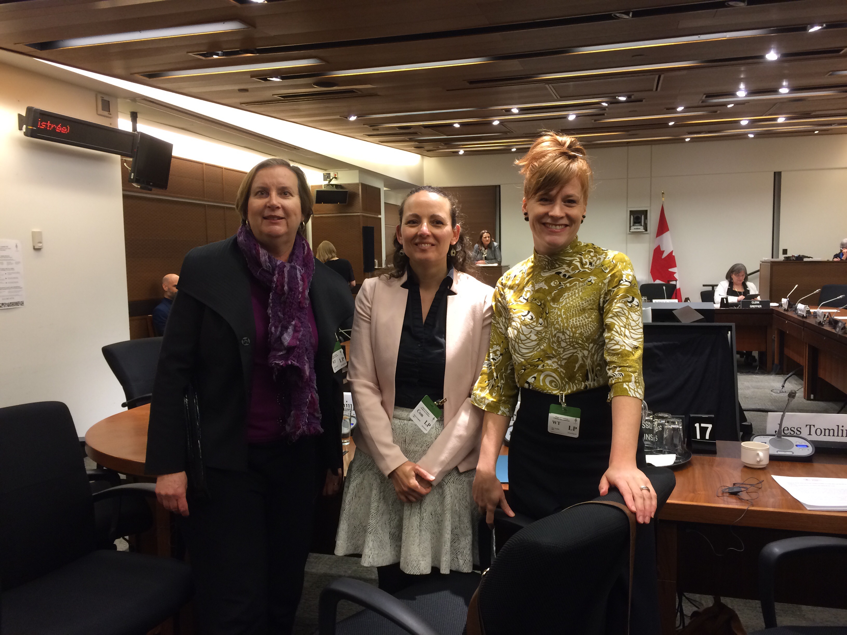 Response of the Women, Peace and Security Network-Canada (WPSN-C) to ...